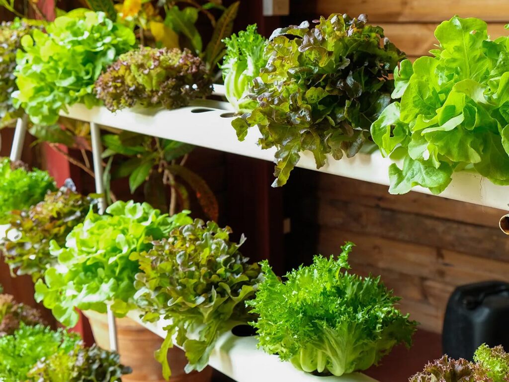 Indoor Growing Systems for Apartment Preppers - LastStand HQ | Prepper ...